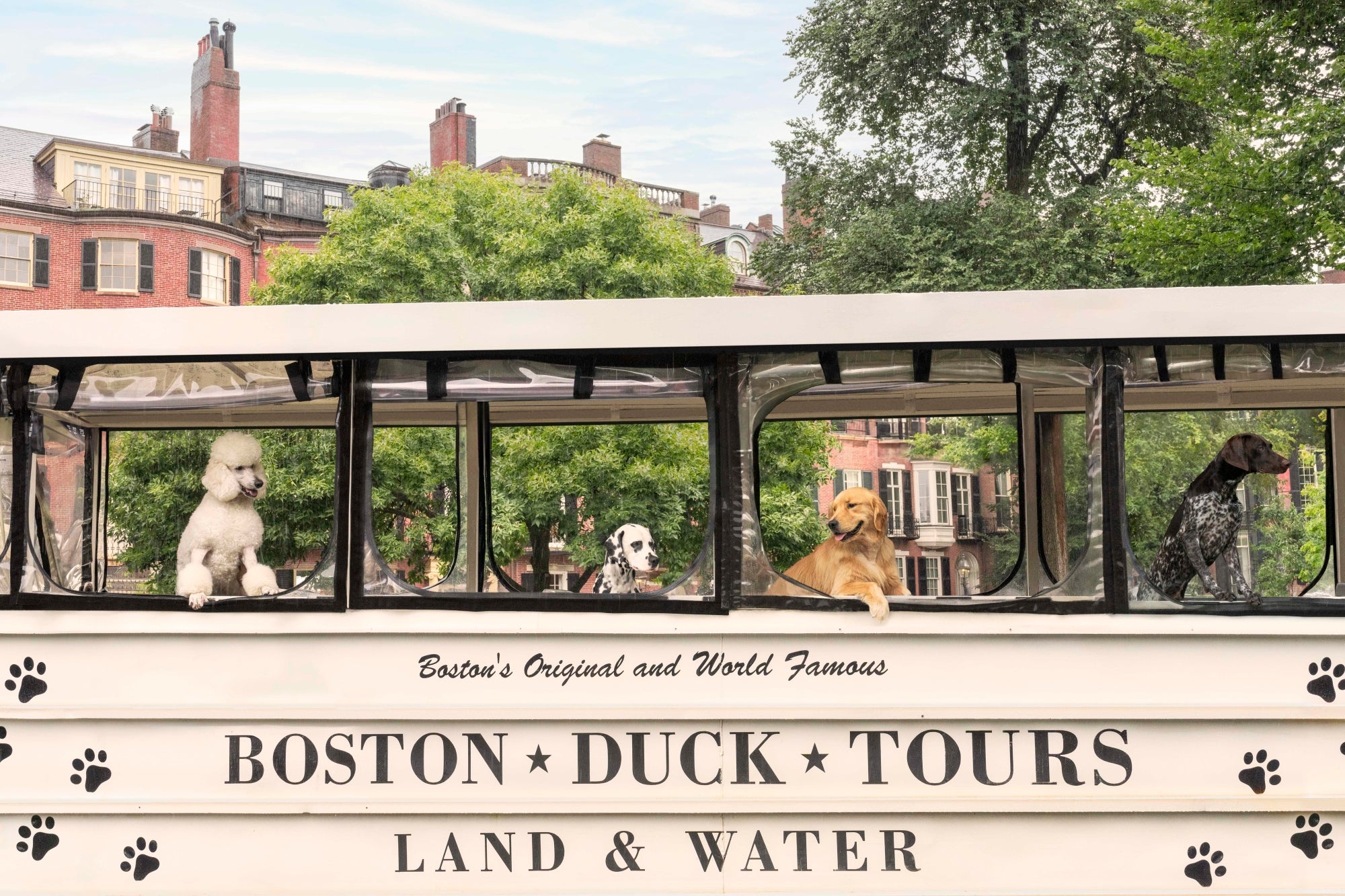 Duck Boat Tour, Boston – Gray Malin