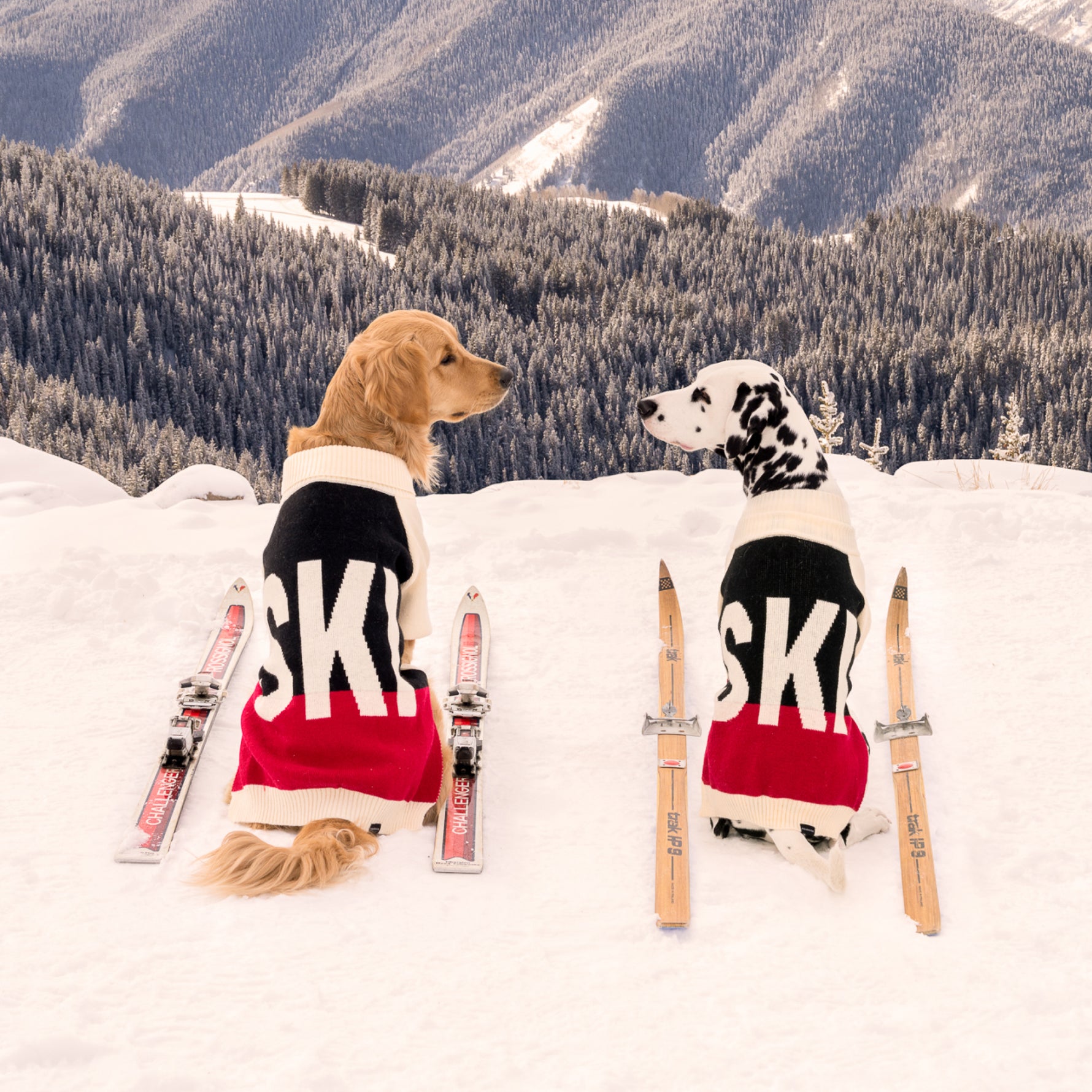 Mark & Graham x Gray Malin