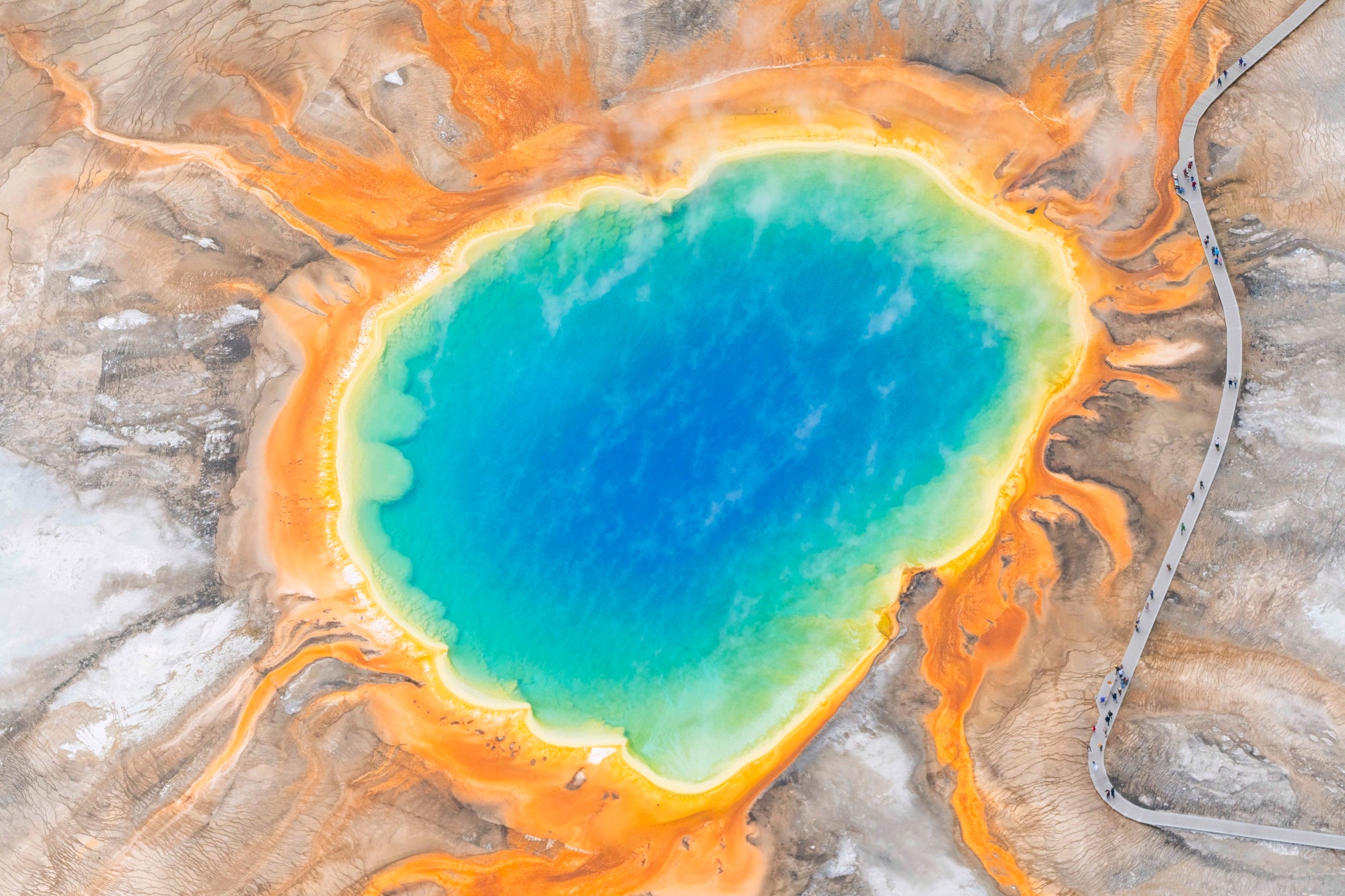 Grand Prismatic Spring Yellowstone National Park Thoughtless