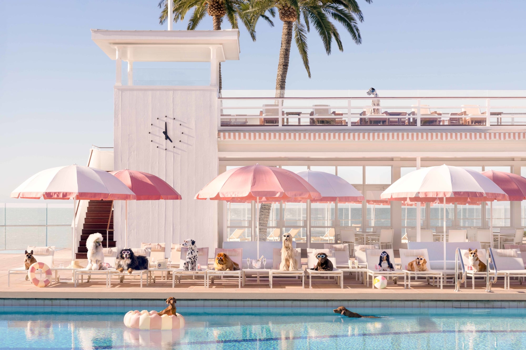 Pool Day, Coral Casino – Gray Malin