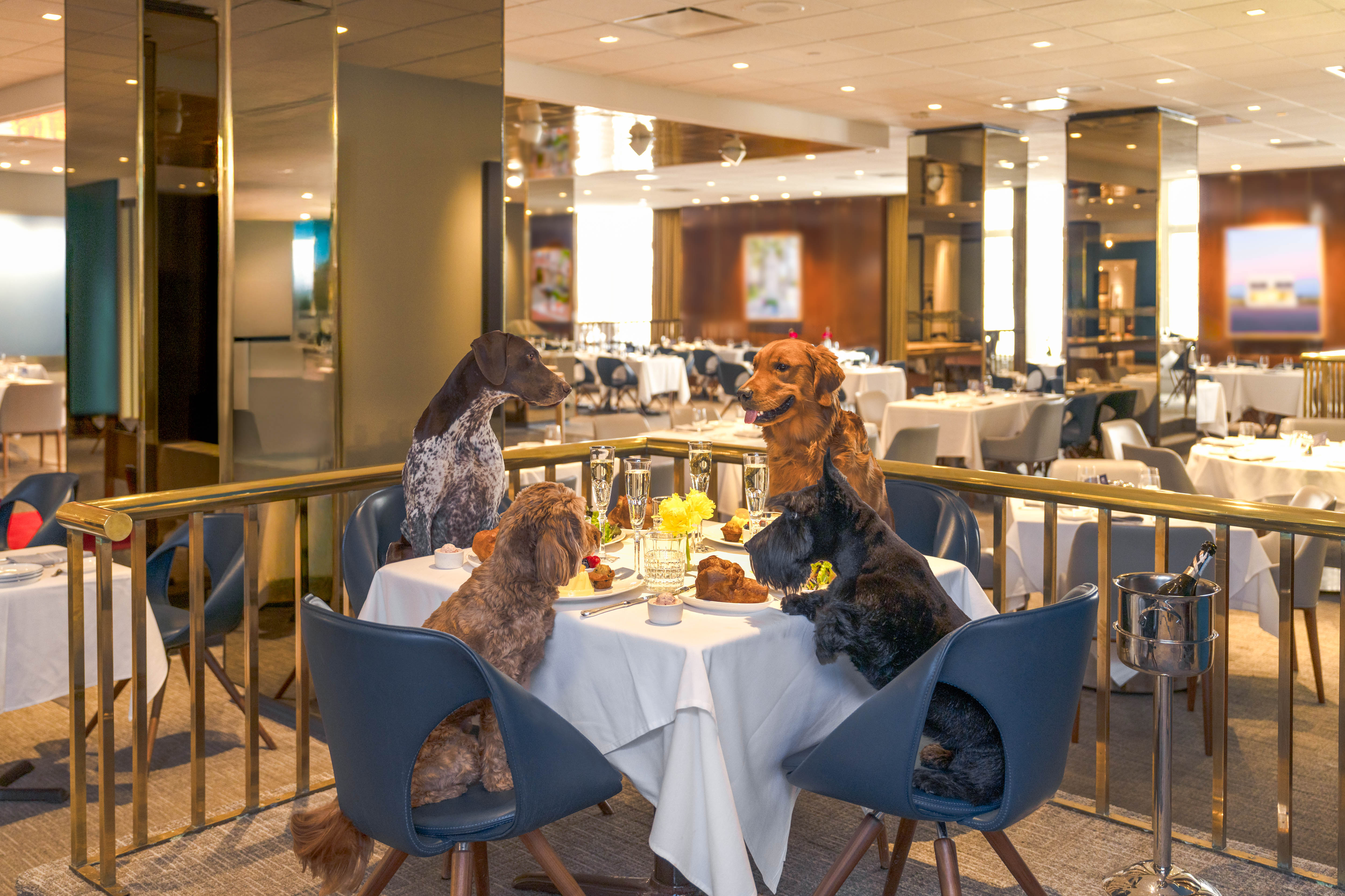 Zodiac room dallas 60 photos - Youhoroscope.com
