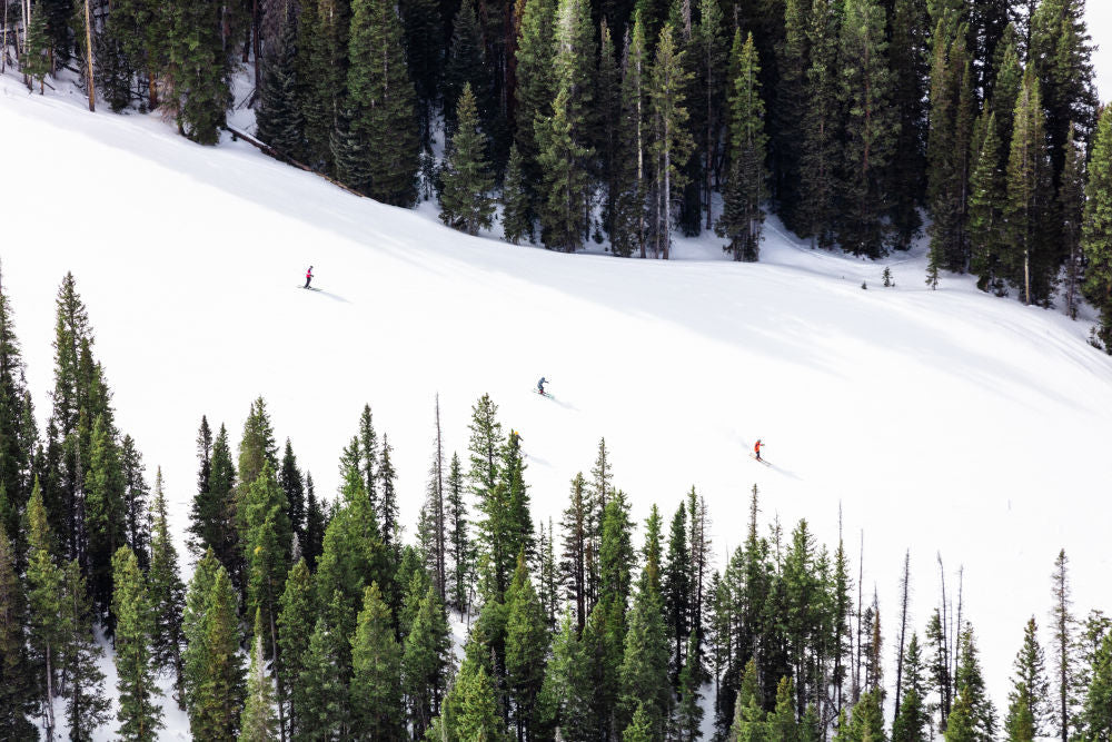 Three Skiers, Aspen – Gray Malin